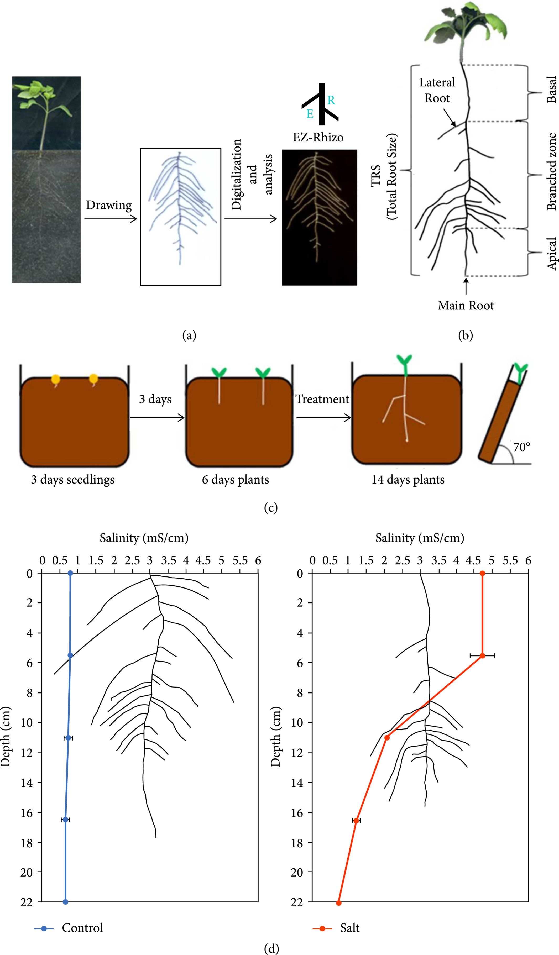 Publications – Stress resilience in Crops