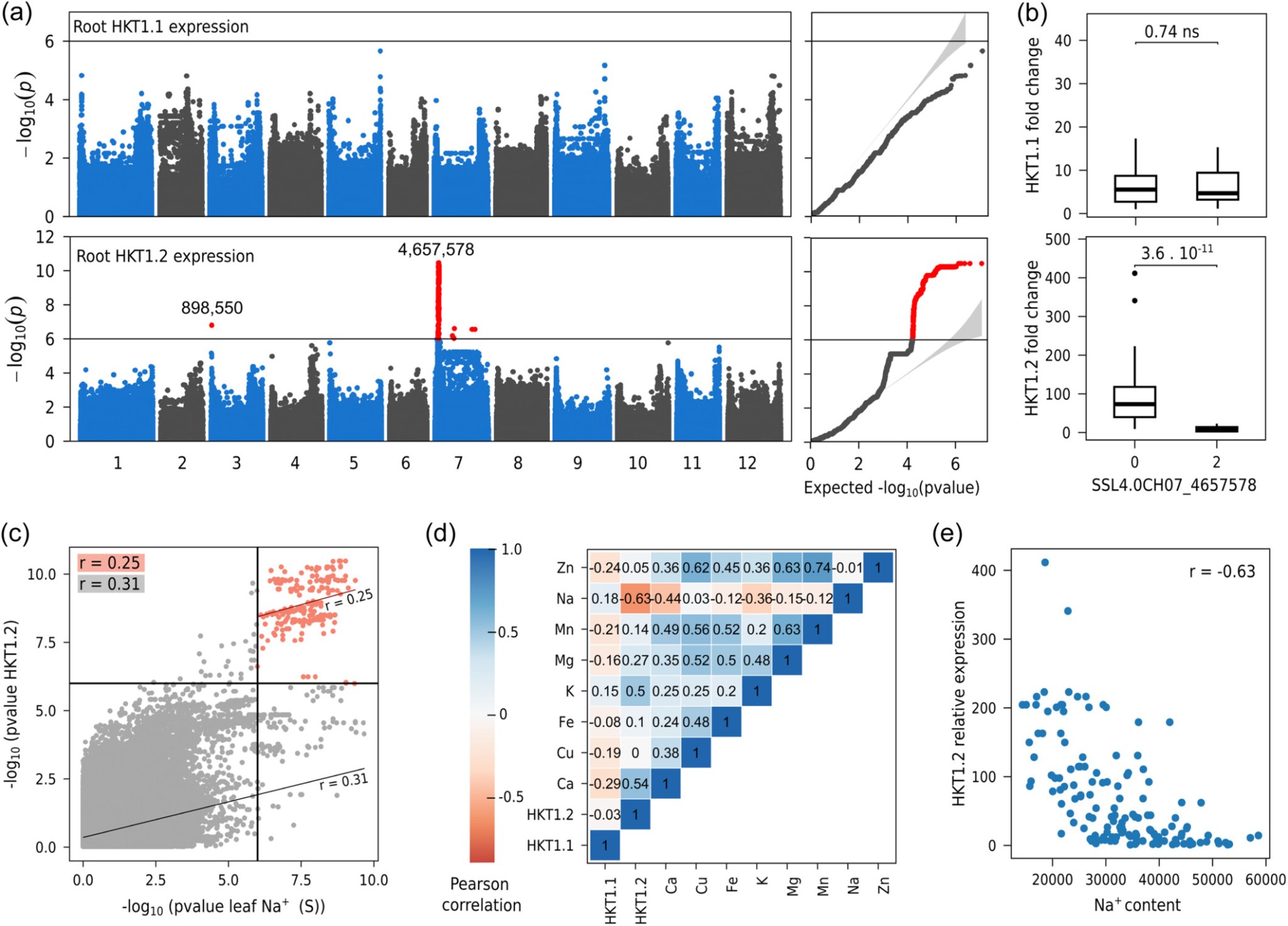 Publications – Stress resilience in Crops